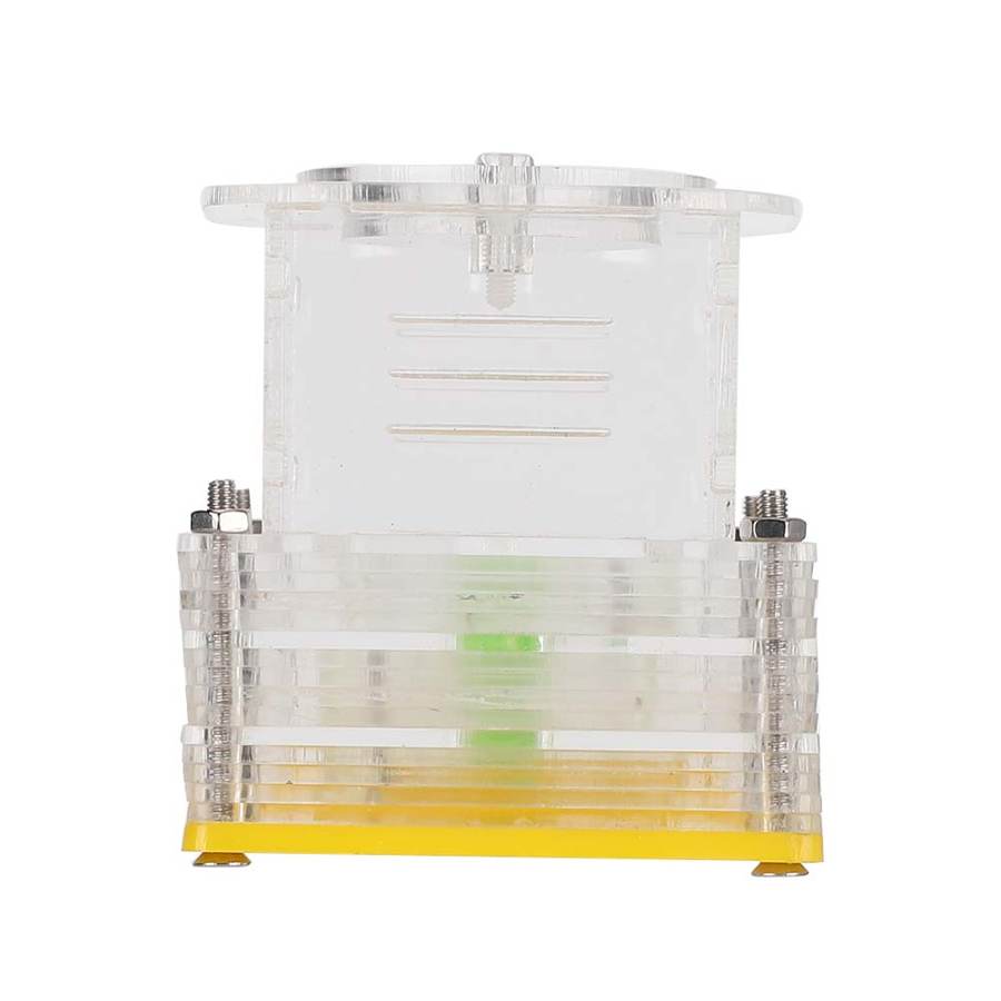 3D Acryl Insect box Acrylic Ant Feeding Nest Trans... – Grandado