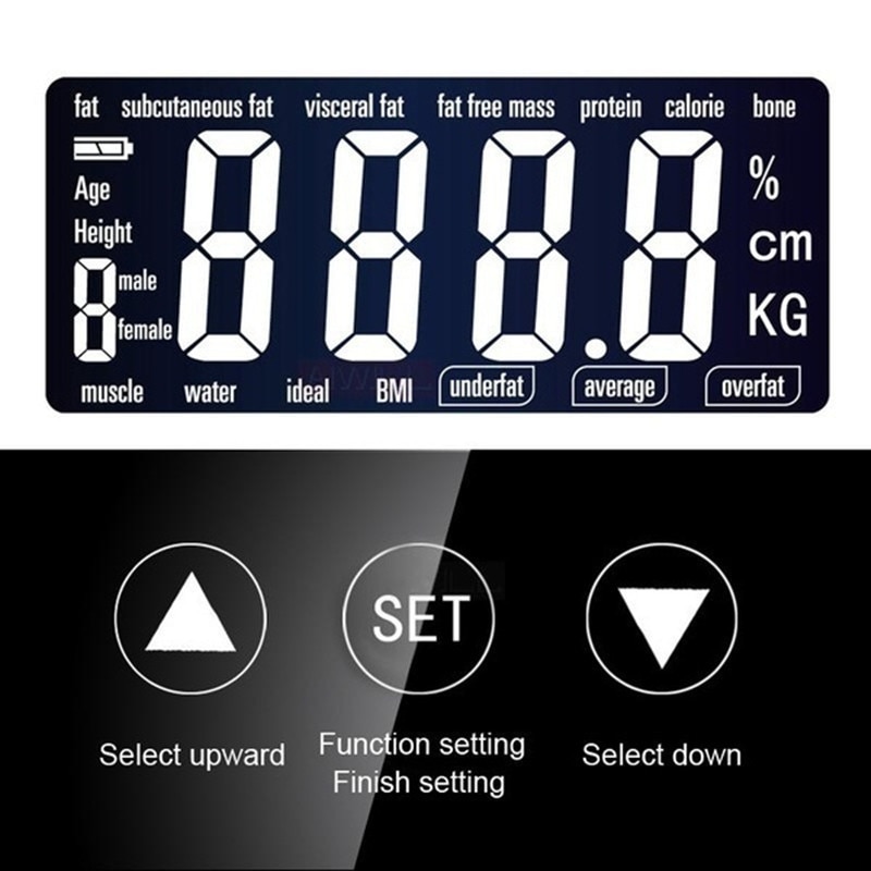 Body Fat Scales Smart BMI Digital Scale Electronic... – Grandado