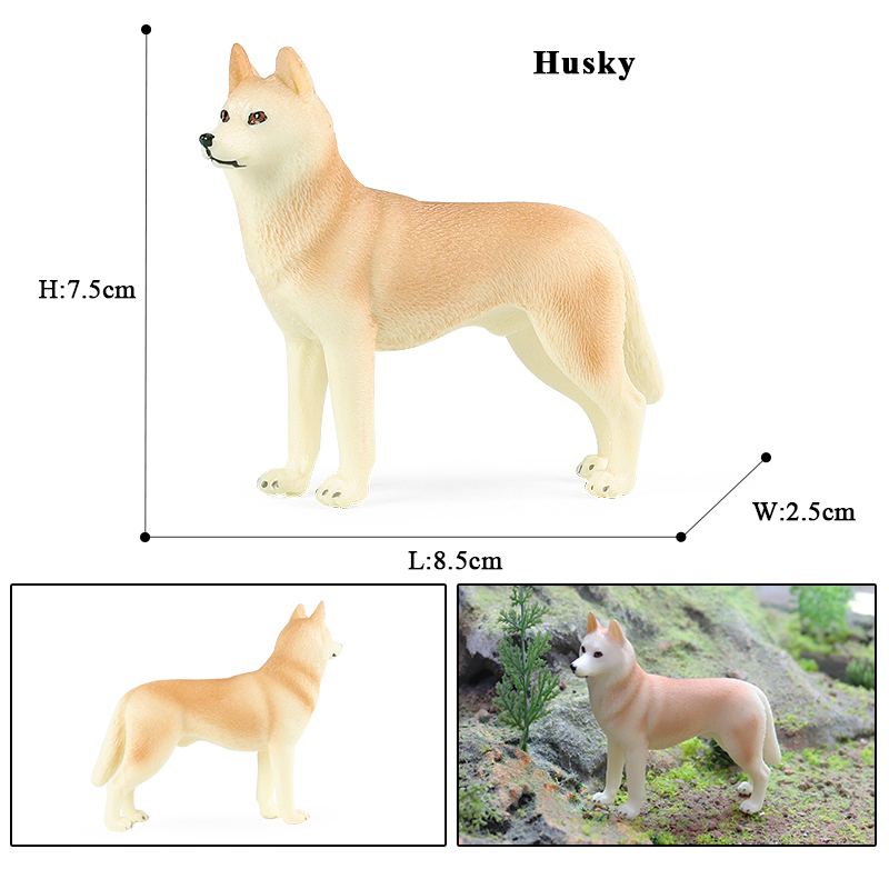 Oenux Dog Animals Model Husky Pug Pomeranian Rottw... – Grandado