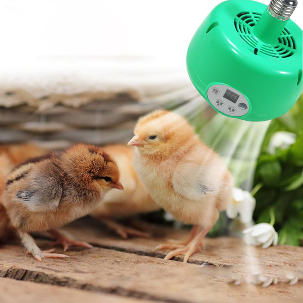 Verwarming Lamp Farm Animal Warm Licht Voor Kip Kn... – Vicedeal
