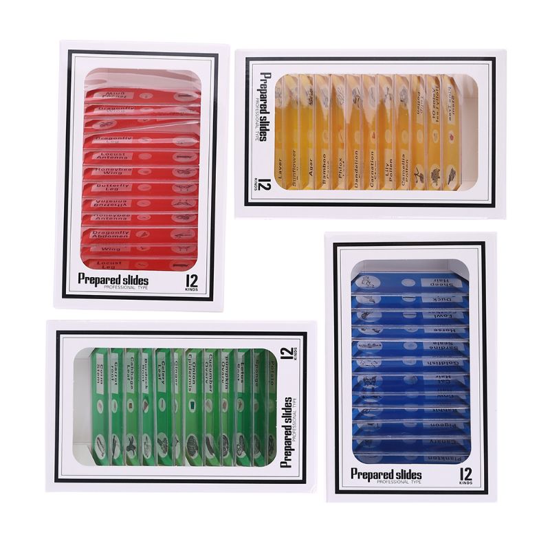 48pcs/set Kids Plastic Prepared Microscope Slides ... – Grandado