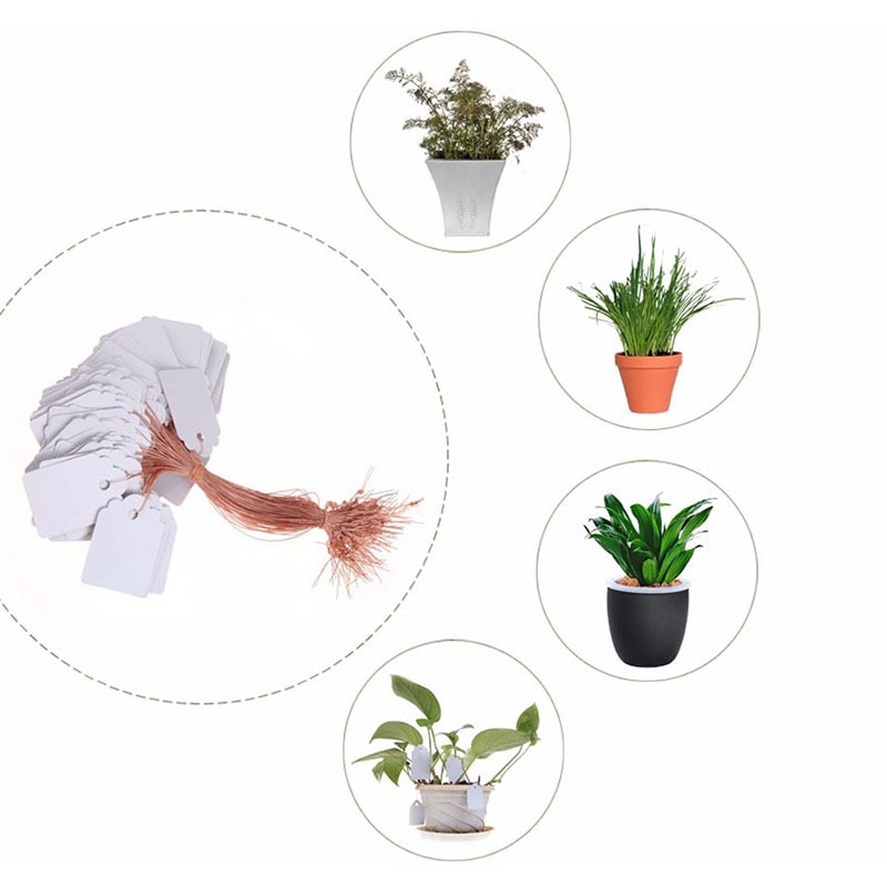 100 pcs White Plastic Tag Seedling Plant Growth Re... – Grandado