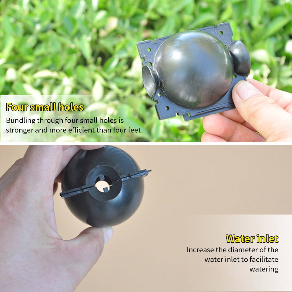 Blossom Plant Rooting Device Assisted Cutting Root... – Grandado