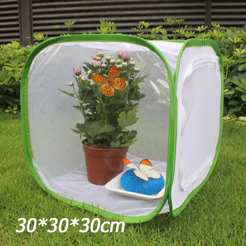 Breeding Cages Net Cloth Praying Mantis Stick Inse... – Grandado