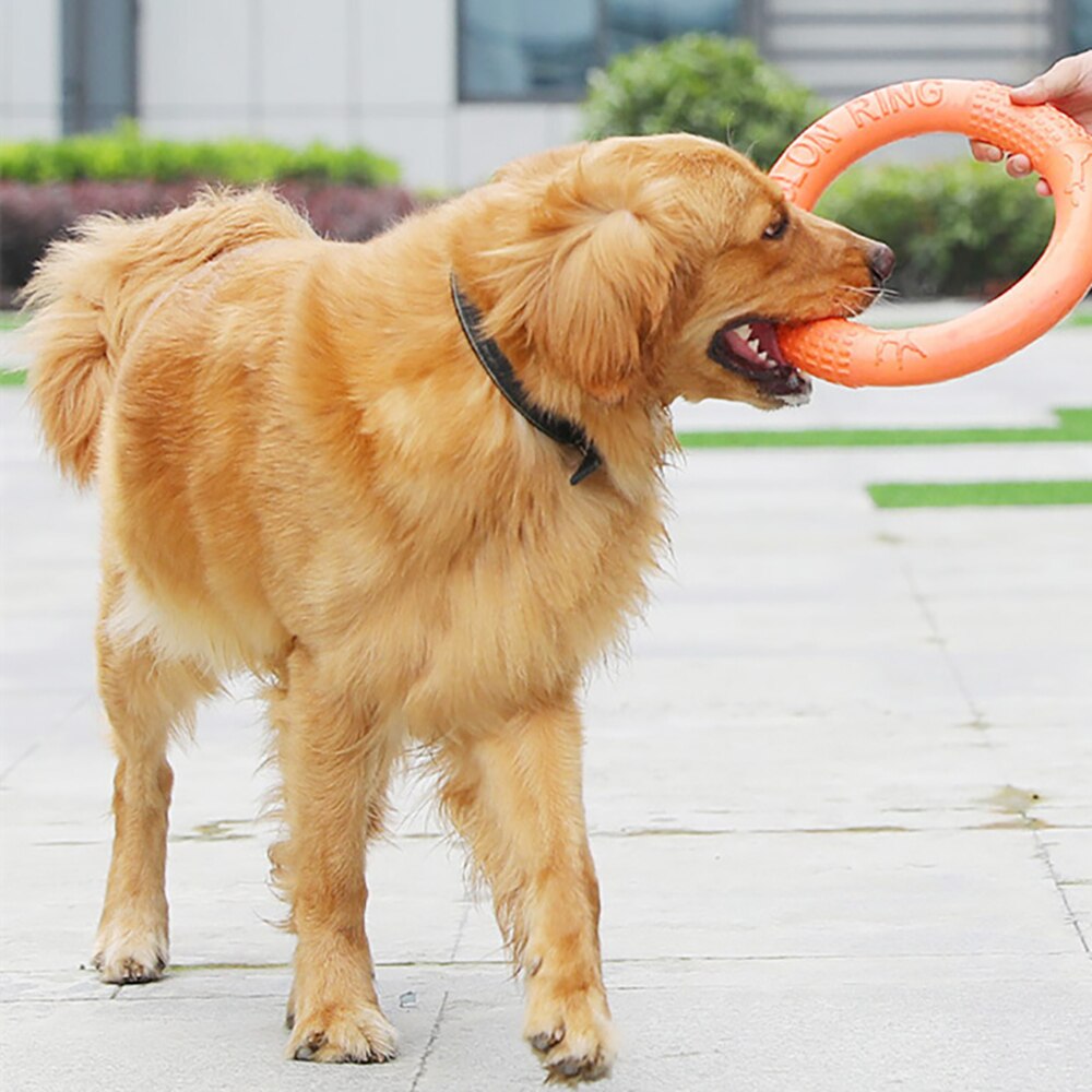 Huisdier Vliegende Schijven Hond Training Ring Pul... – Grandado