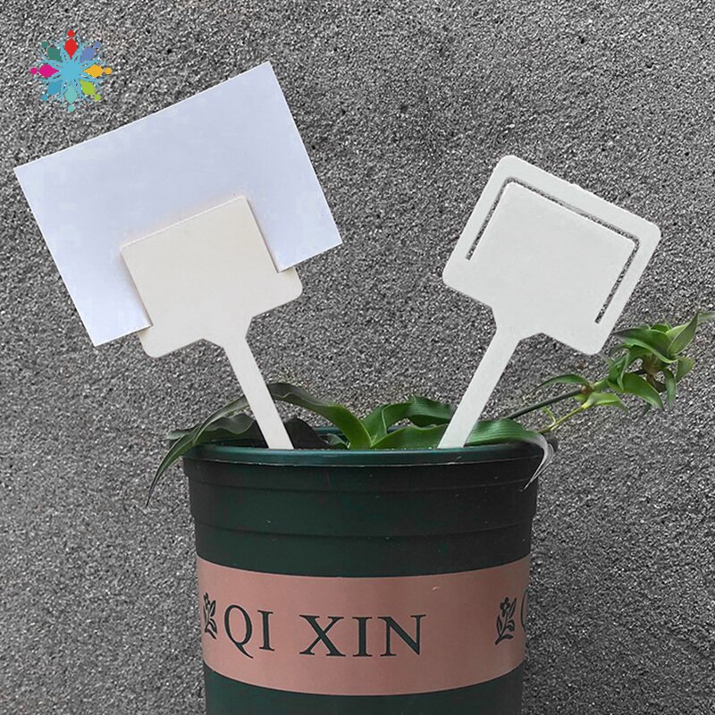 Insert Type Gardening Label Card Gardening Supplie... – Grandado