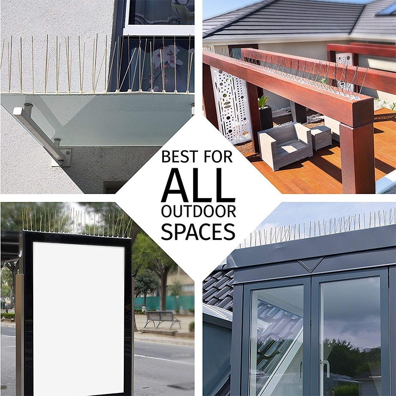 Stainless Steel Bird Spikes Kit, 10 Feet (3 Metre)... – Grandado