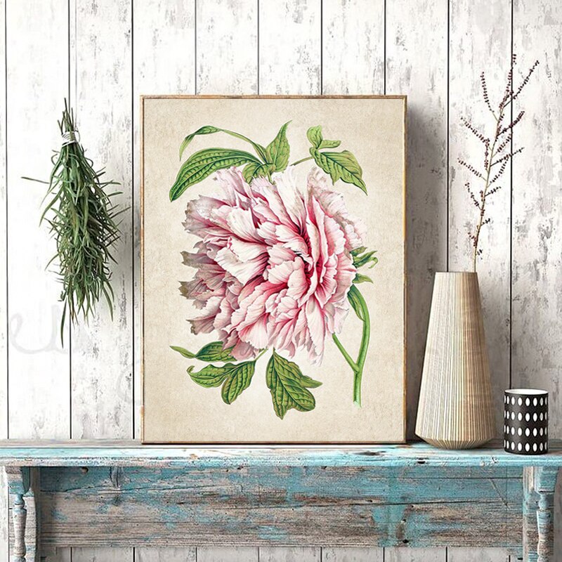 Vintage Pink Peony Botanical Flower Prints Kitchen... – Vicedeal