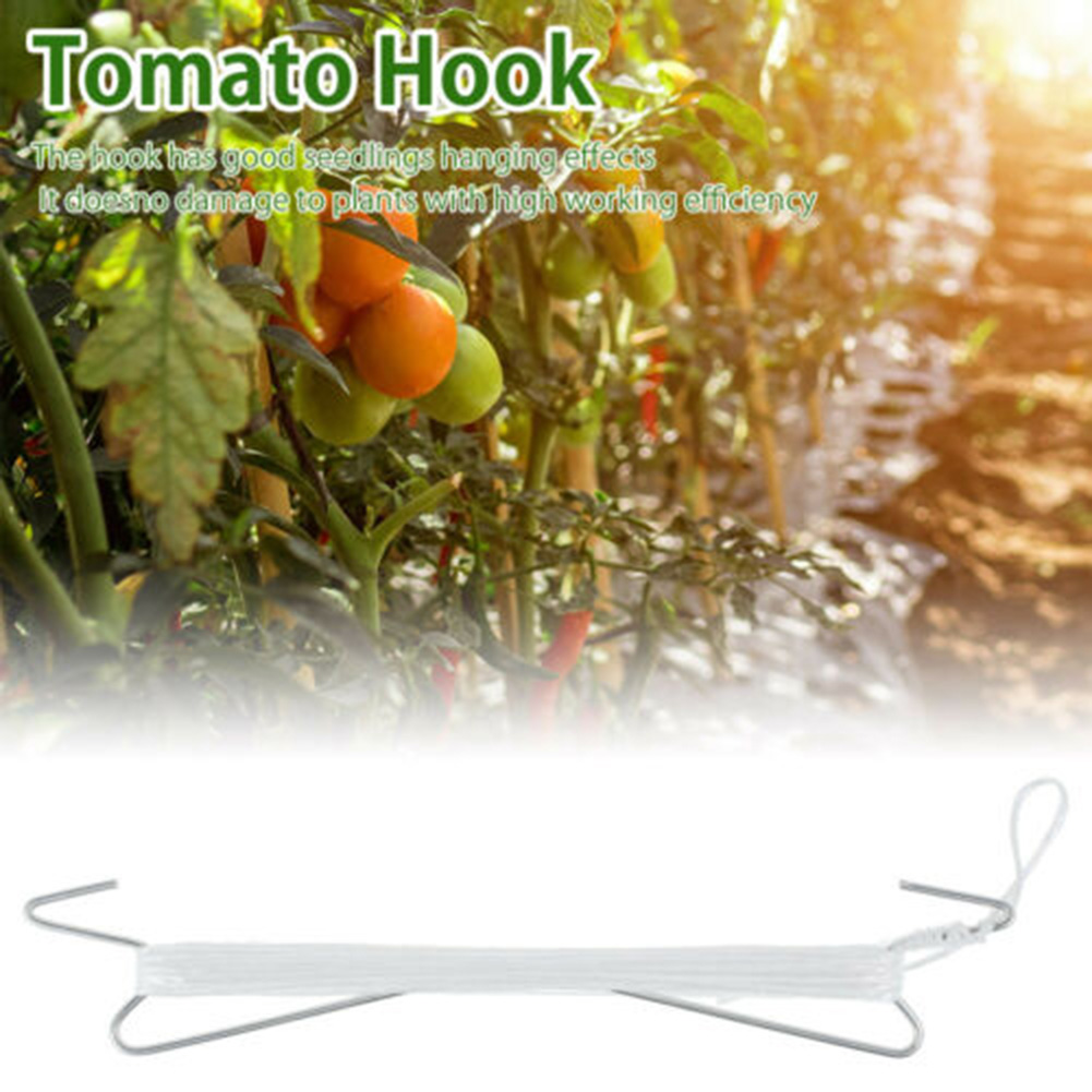 10pcs Plants Hooks Greenhouse Garden Tomato Hooks ... – Grandado