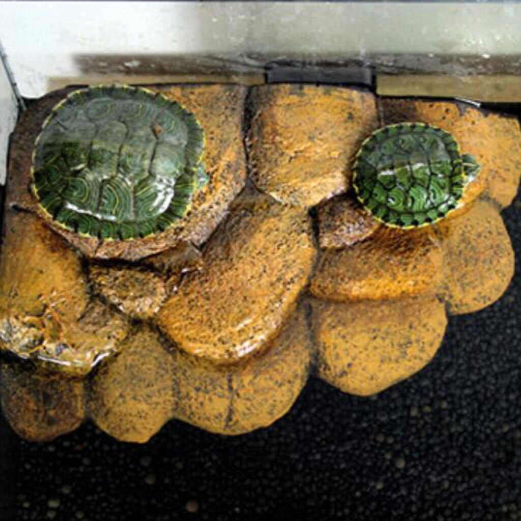 Artificial Resin Rock Floating Island Reptile Play... – Grandado