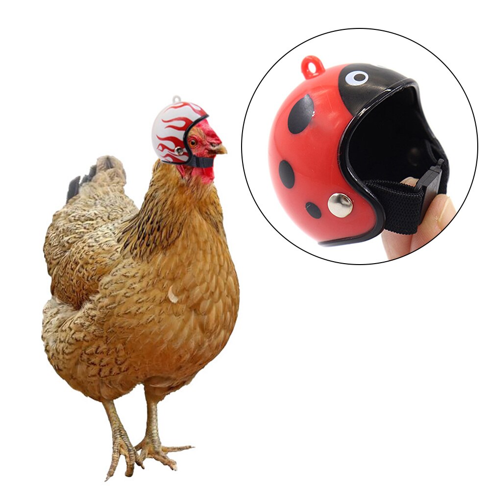 1pc Chicken Helmet Small Pet Hard Hat Duck Goose H... – Grandado