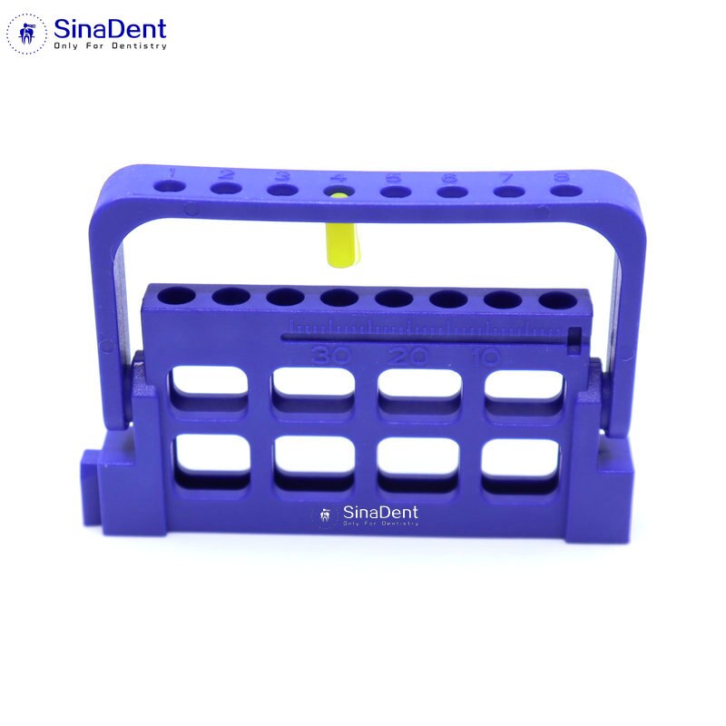 1Pcs Dental 8 Holes Endo Files Holder with Record ... – Vicedeal