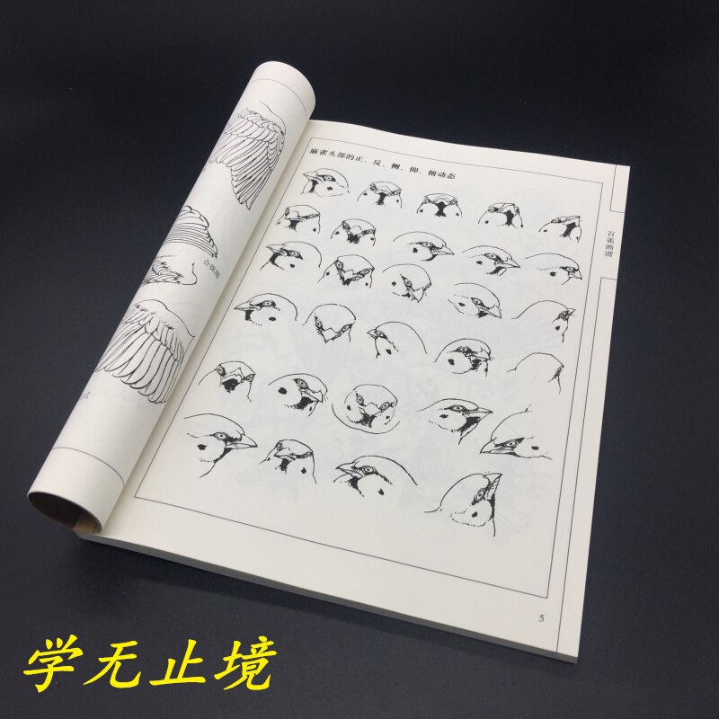 Chinese Painting Book For Sparrow Painting Xian Mi... – Vicedeal