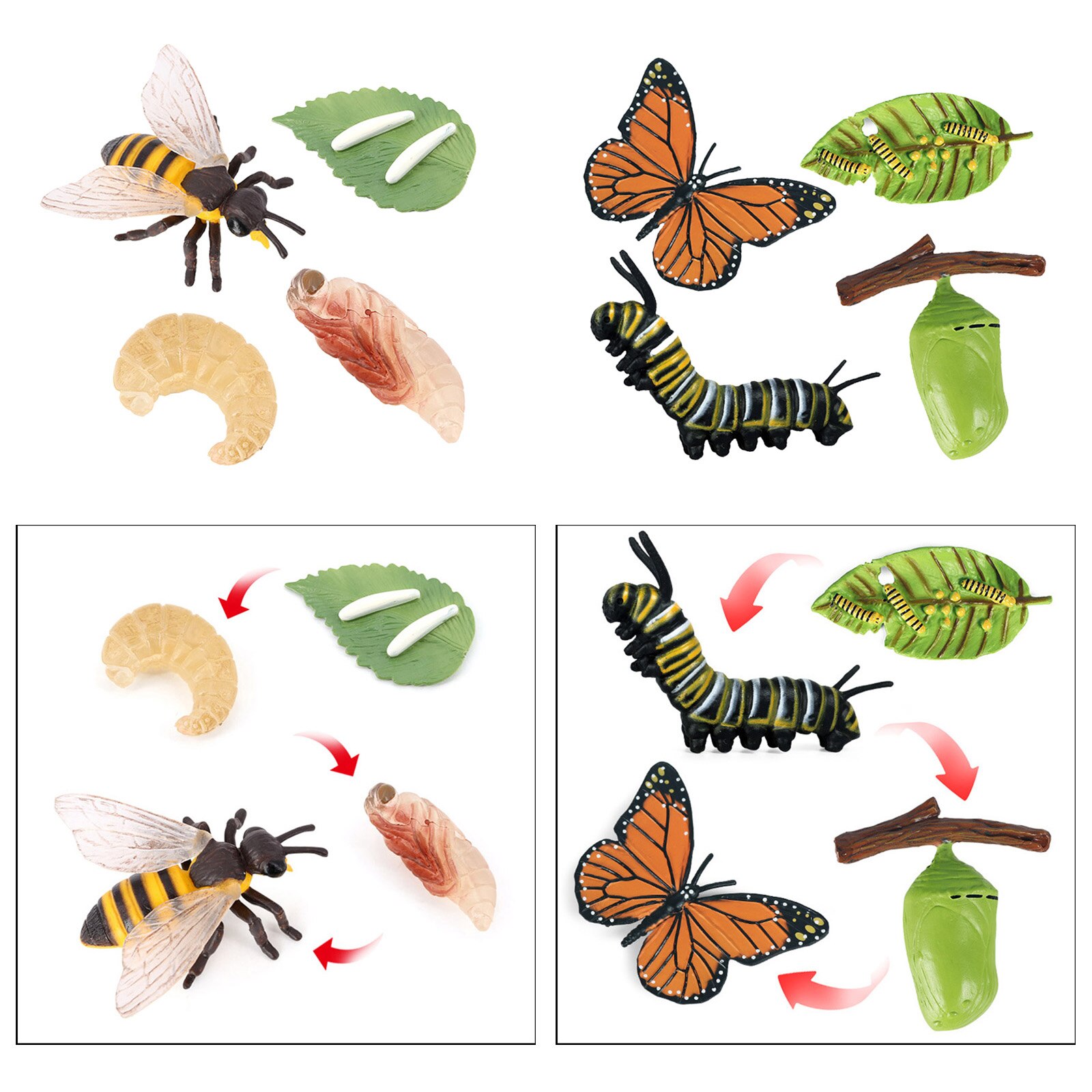 Realistic Nature Butterfly Bee Growth Child Educat... – Vicedeal