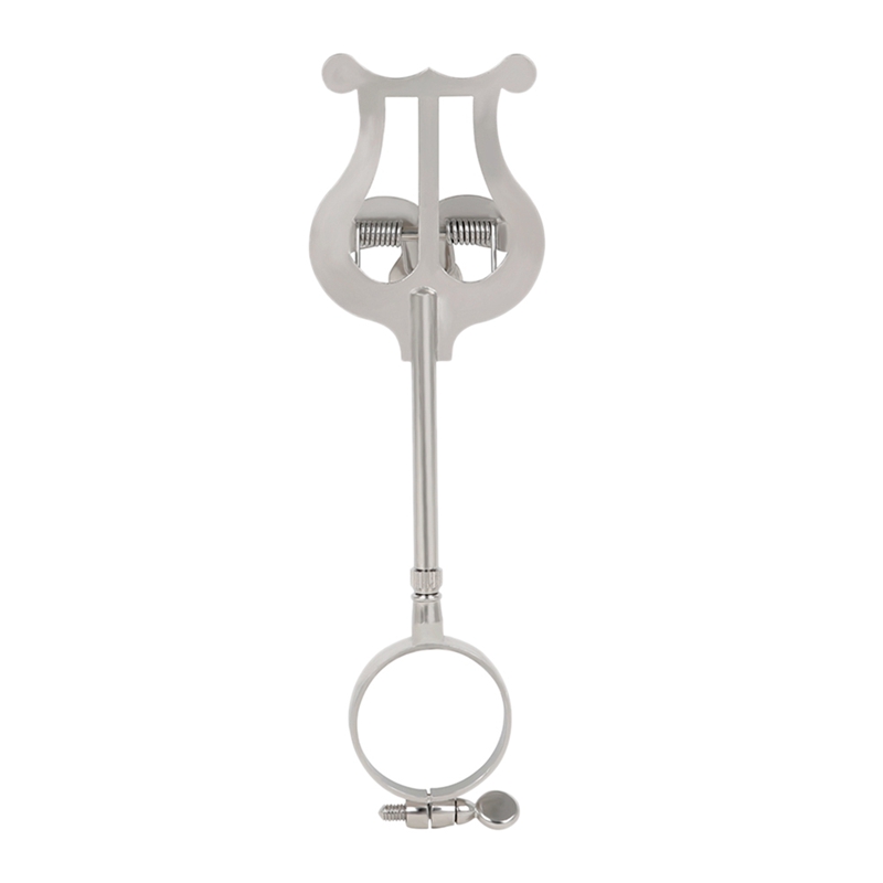 Support à pince pour clarinette en argent, Instrum... – Grandado