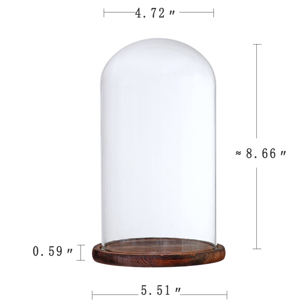 Glass Cover Dome Container with Base for Flower Ro... – Grandado