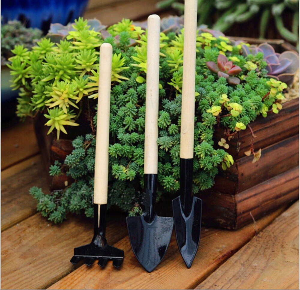 3PCS Mini Garden Planting Hand Tool Supplies Set P... – Grandado