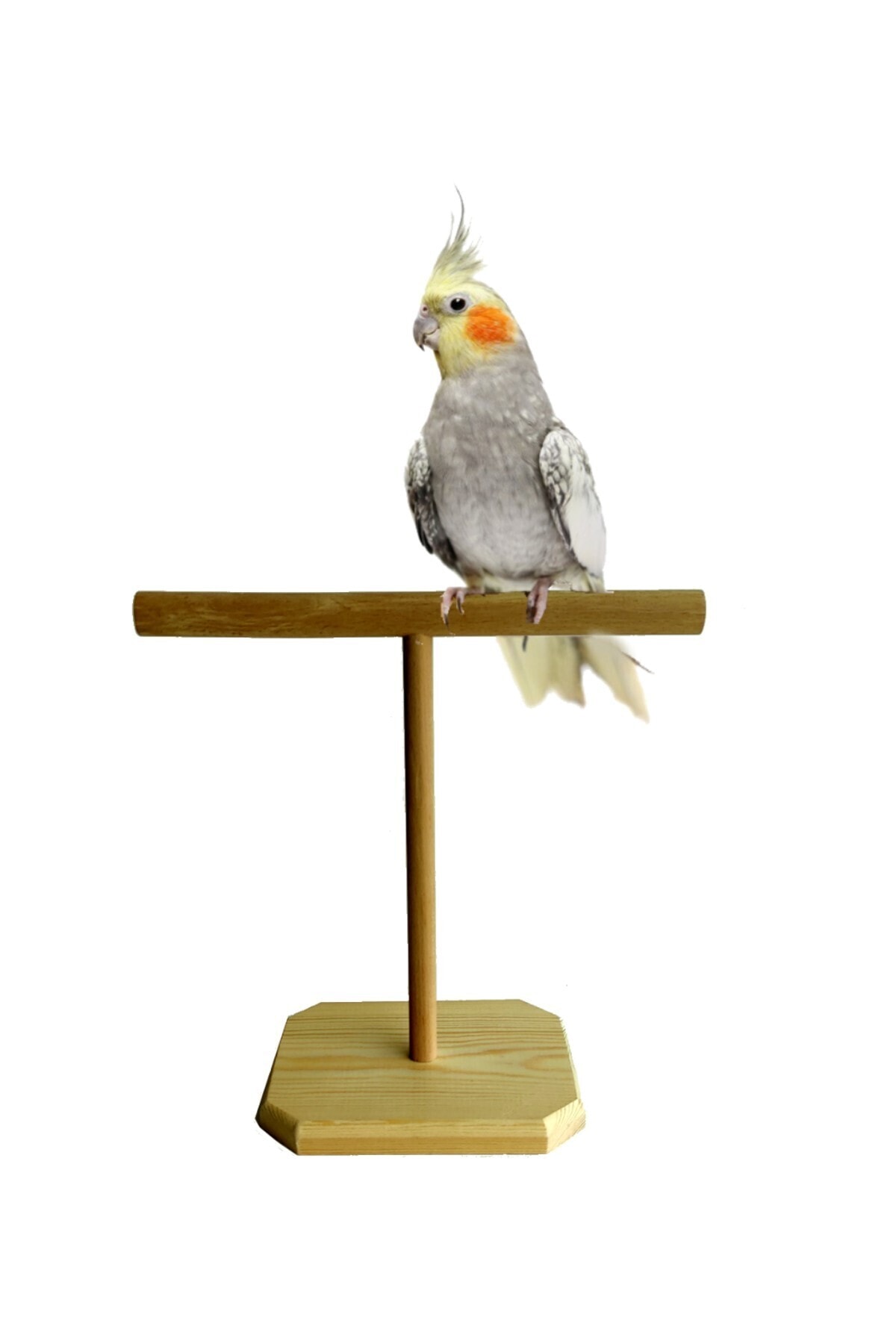 Wooden Parrot Perch T Perch – Grandado