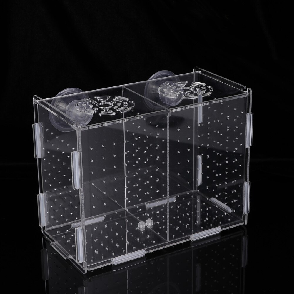 Transparent Fish Tank Breeding Isolation Box Aquar... – Vicedeal