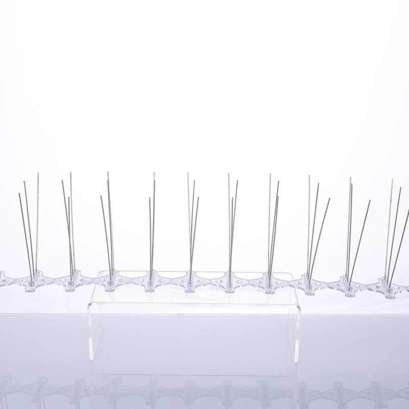 Stainless Steel Bird Spikes Kit, 10 Feet (3 Metre)... – Grandado