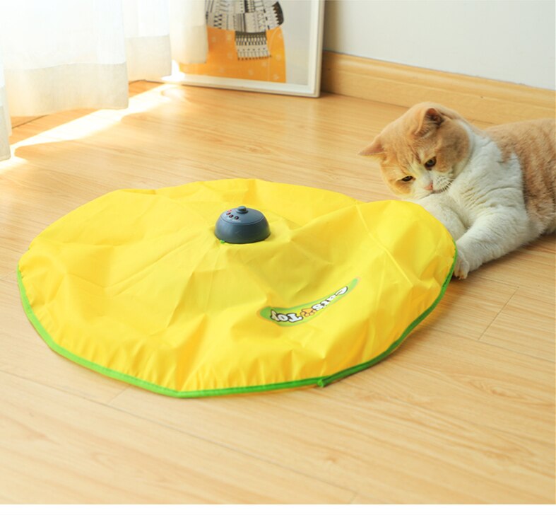 Electric Auto Cat Toy 4 Speed Pet Cat Turntable In... – Grandado
