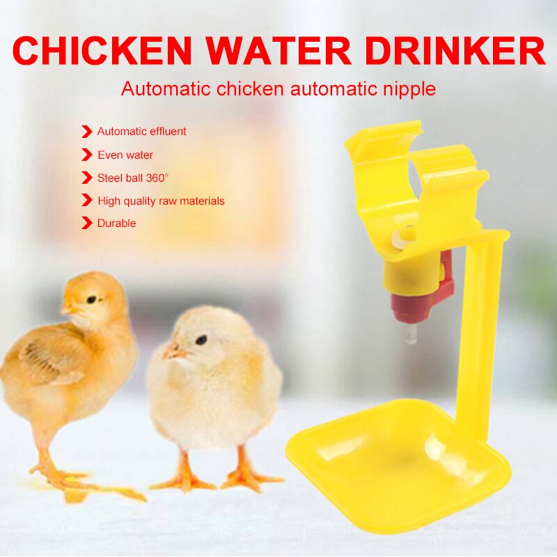 Chicken Drinking Fountain 4pcs Chick Feeding Birds... – Grandado