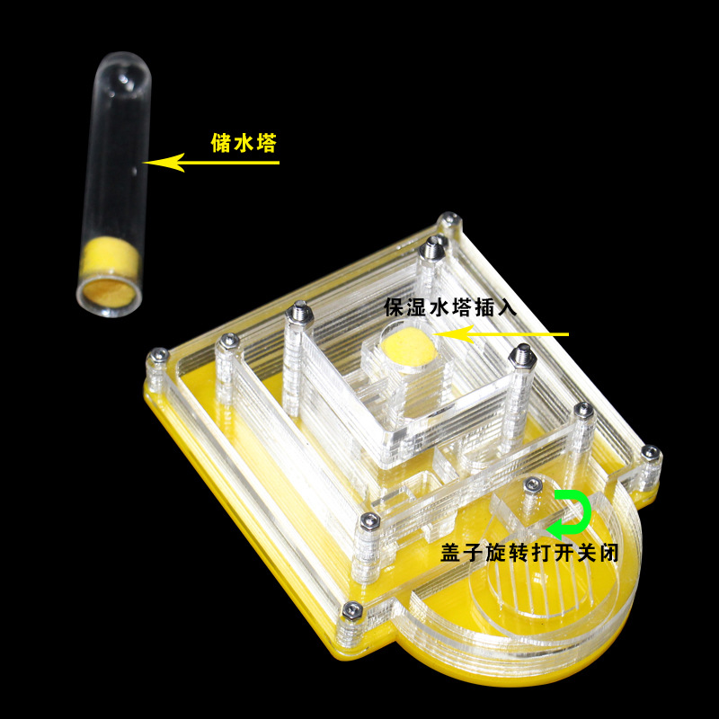 Pyramid Ant Farm Acrylic Ants Nest with Moisture A... – Vicedeal