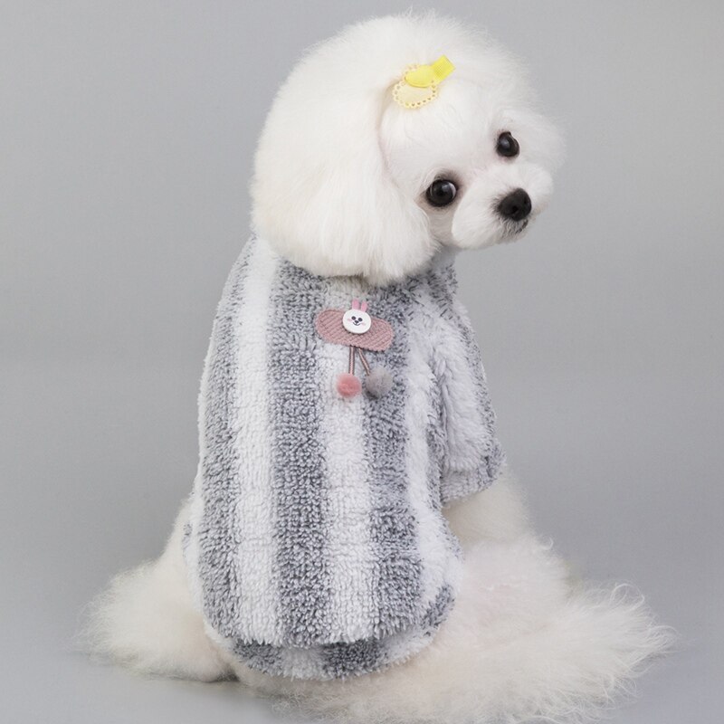 Chiens veste manteau vêtements Teddy nouveauté chi... – Grandado