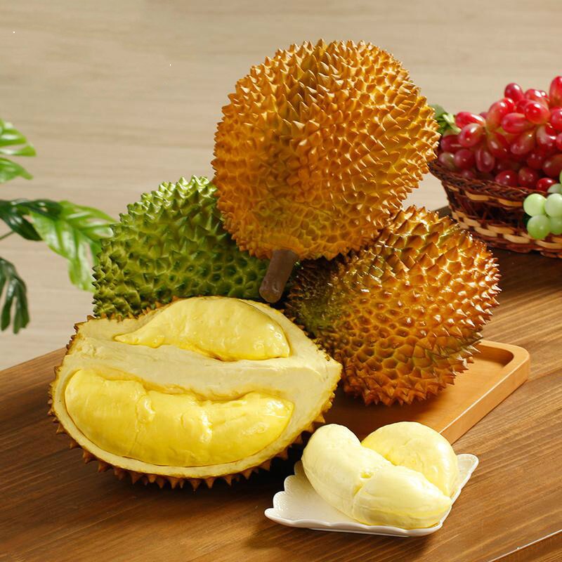 Festive Party Supplies Simulation Pu Durian Model ... – Grandado