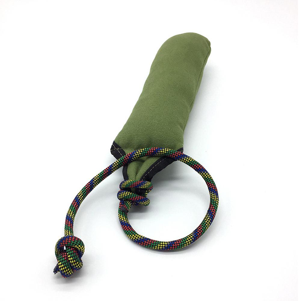 LanLan 30cm Pet Training Stick Tracking Biting Oxf... – Grandado