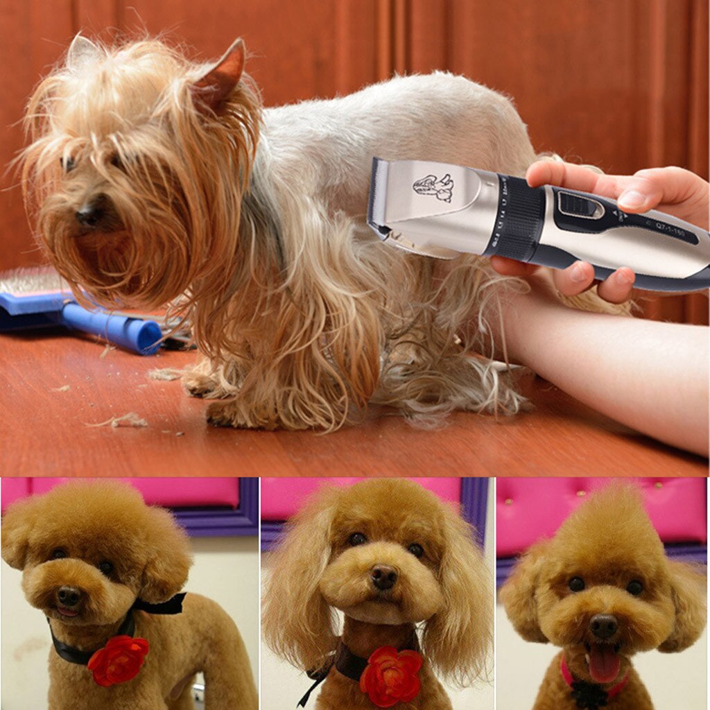 Pet Dog Hair Trimmer Electrical Pet Grooming Machi... – Grandado
