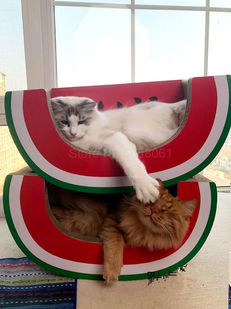 Watermelon cat scratching board large claw device ... – Vicedeal