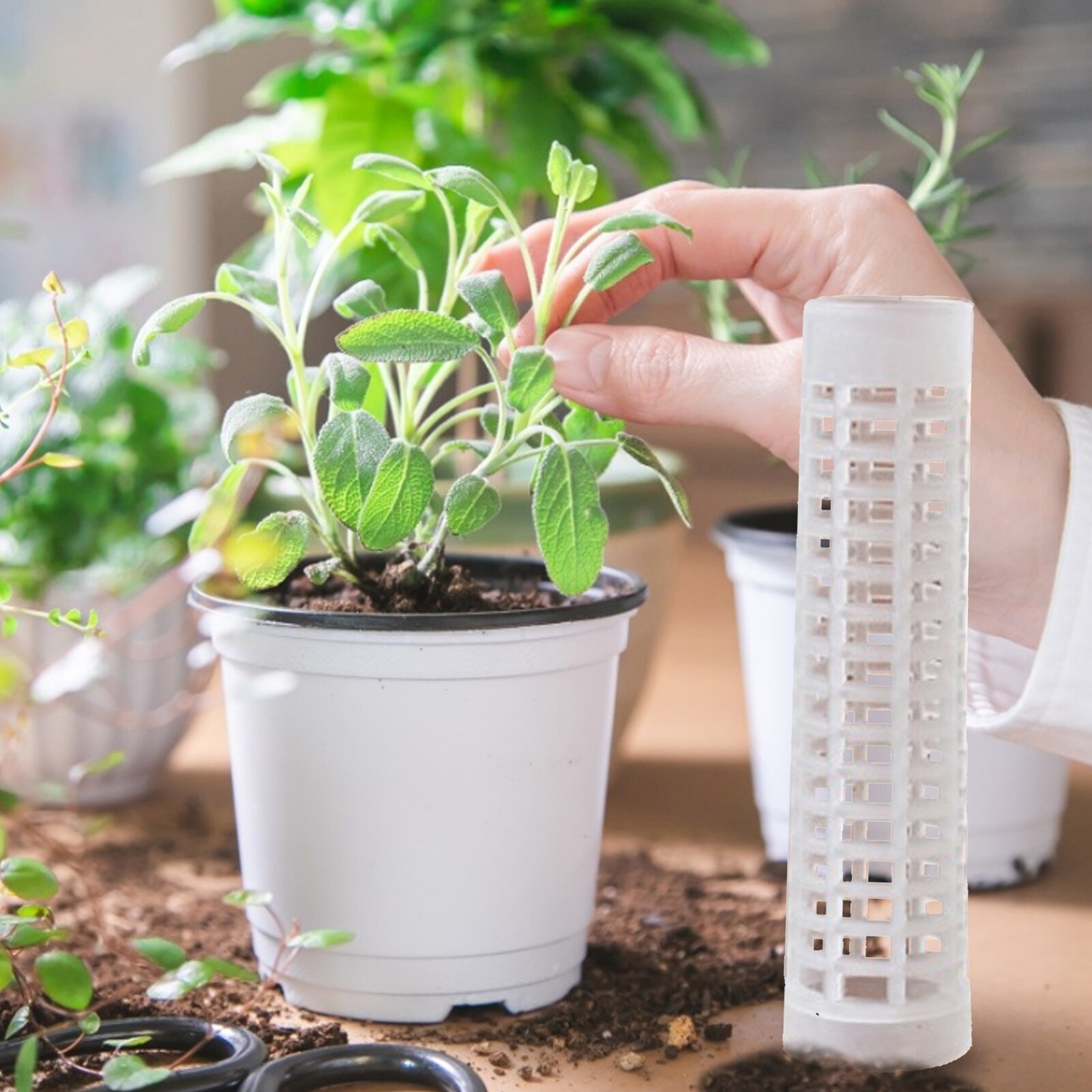 Klimmen Plant Indoor Plant Ondersteuning Extension... – Vicedeal