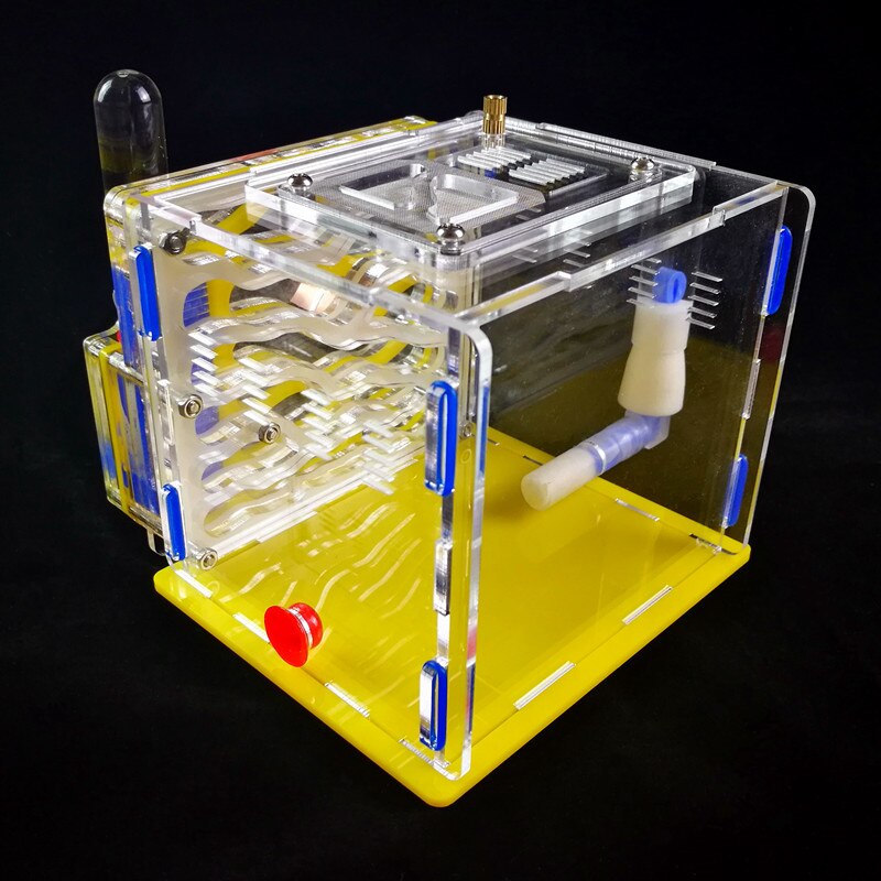 Ant Nest R1 Insect Pet Cage Farm Nest With Feeding... – Grandado