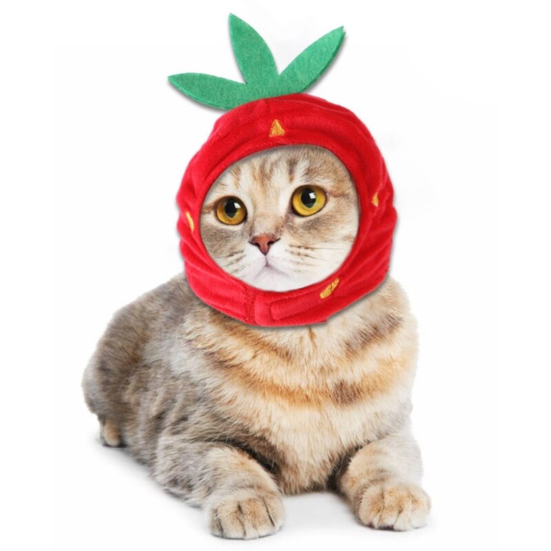 Funny Cat Hat Strawberry Halloween Costume Cat Dog... – Grandado