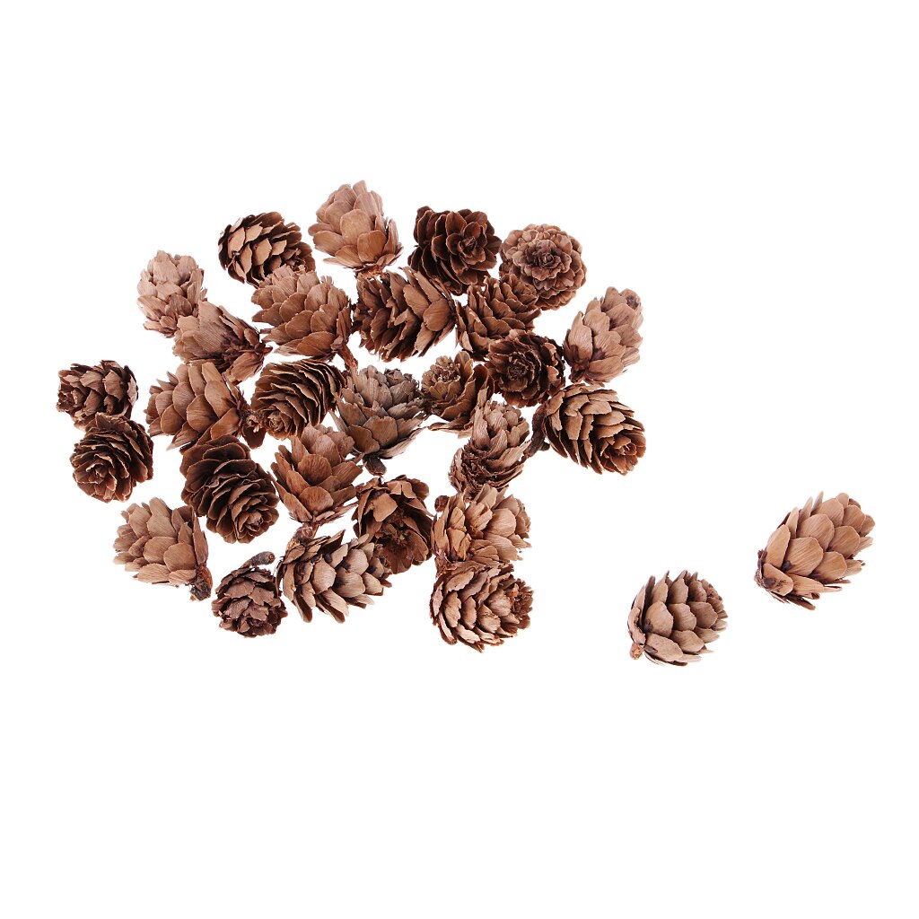 30pcs Small Decorative Pine Cones for Home Party O... – Grandado