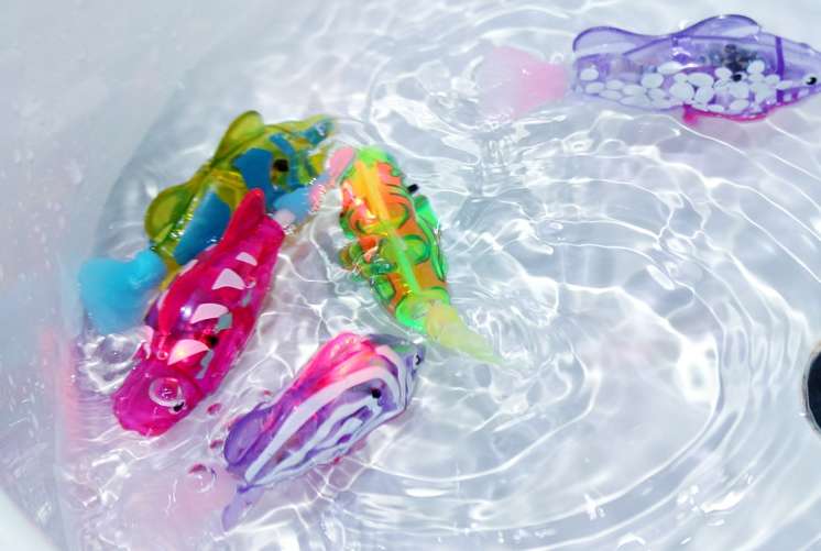 Sea Life Children's Toy Play Water Toys Light ... – Grandado