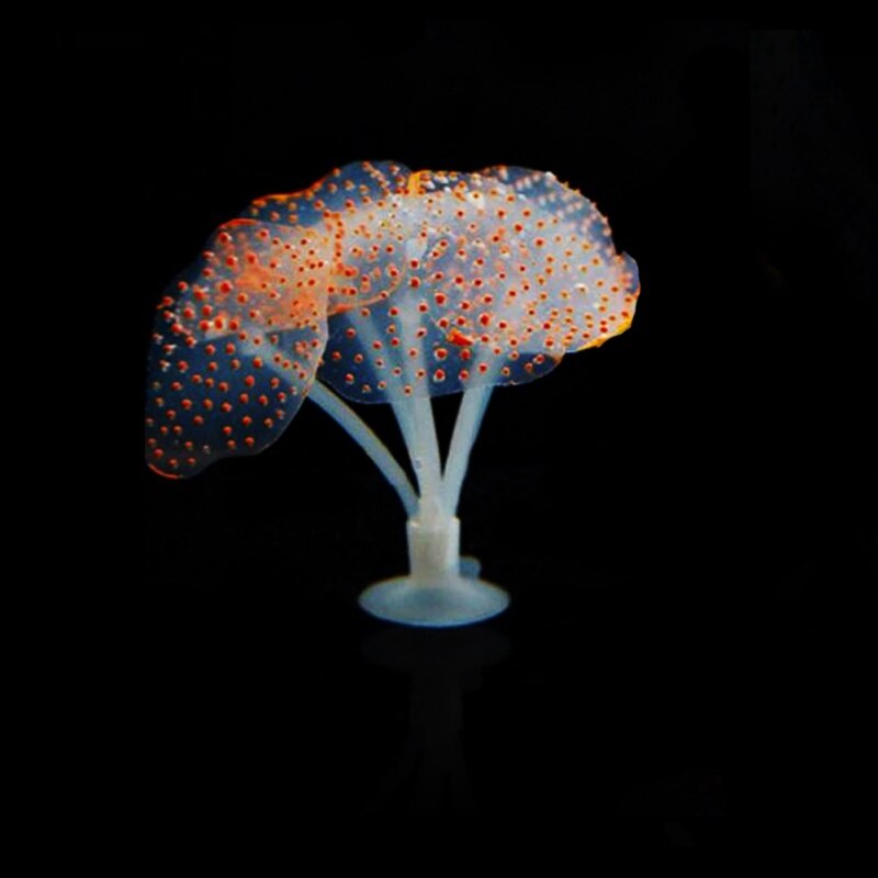 Fluorescent Vivid Jellyfish Aquarium Decoration Fi... – Vicedeal Fluorescent Vivid Jellyfish Aquarium Decoration Fi... – Vicedeal