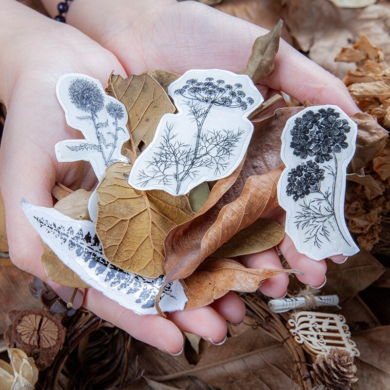 50pcs/lot The Poet and the flower series Decorativ... – Grandado