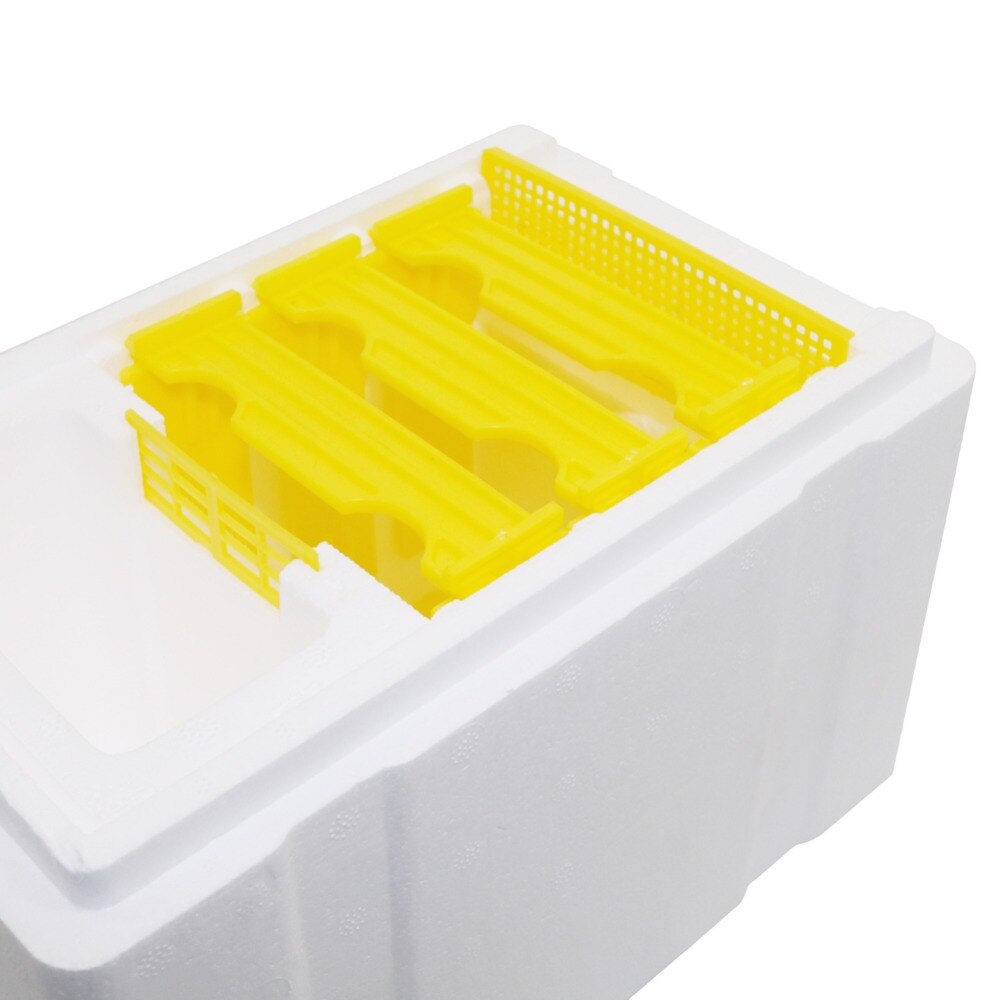 1 Pcs Hive Box Harvest Bee Hive Beekeeping King Bo... – Grandado