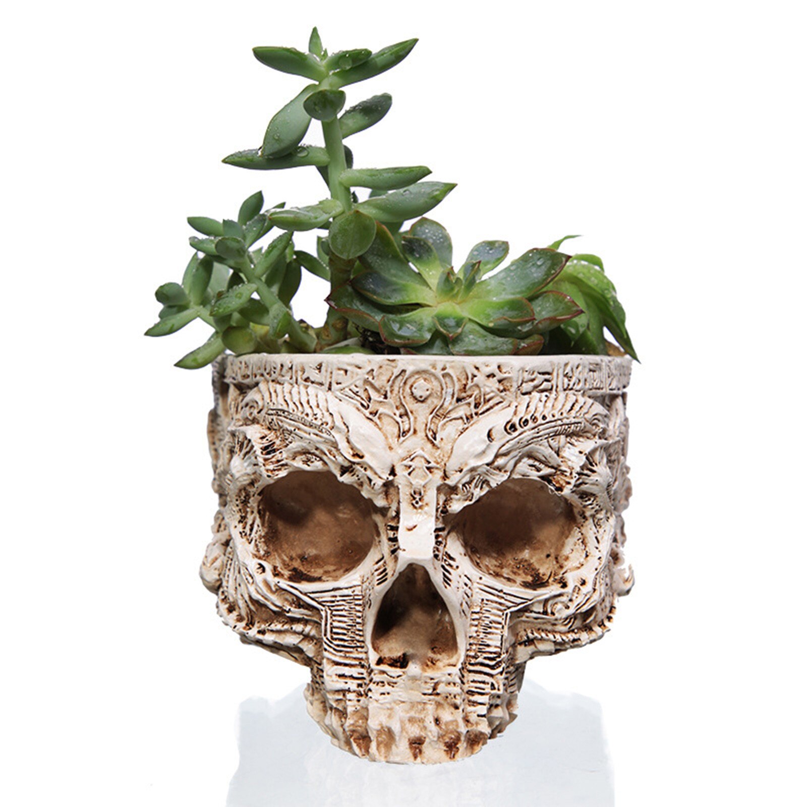 40 # Skelet Planter Skelet Bloempot Gothic Tuin Sk... – Vicedeal