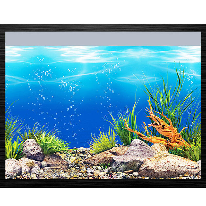 Fish Tank Background HD 3D Drawing Aquarium Glass ... – Grandado