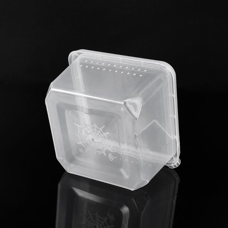 Terrarium Reptile Feeder Breeding Box Tortoise Sna... – Grandado