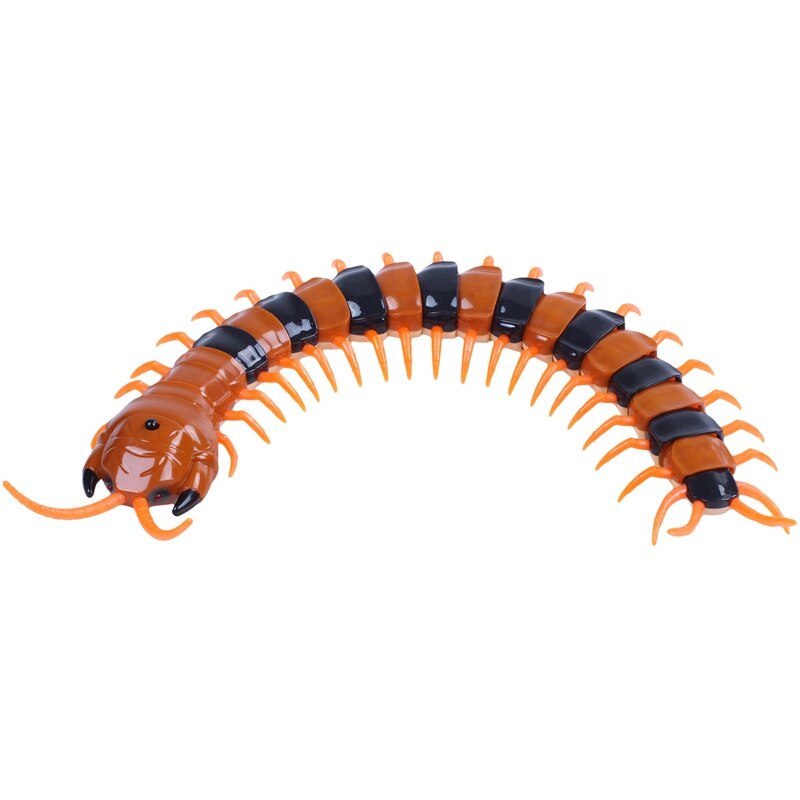 Infrared RC Remote Control Centipede Scolopendra C... – Grandado