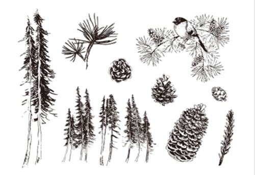 Pine / pine cone Transparent Clear Silicone Stamp/... – Grandado