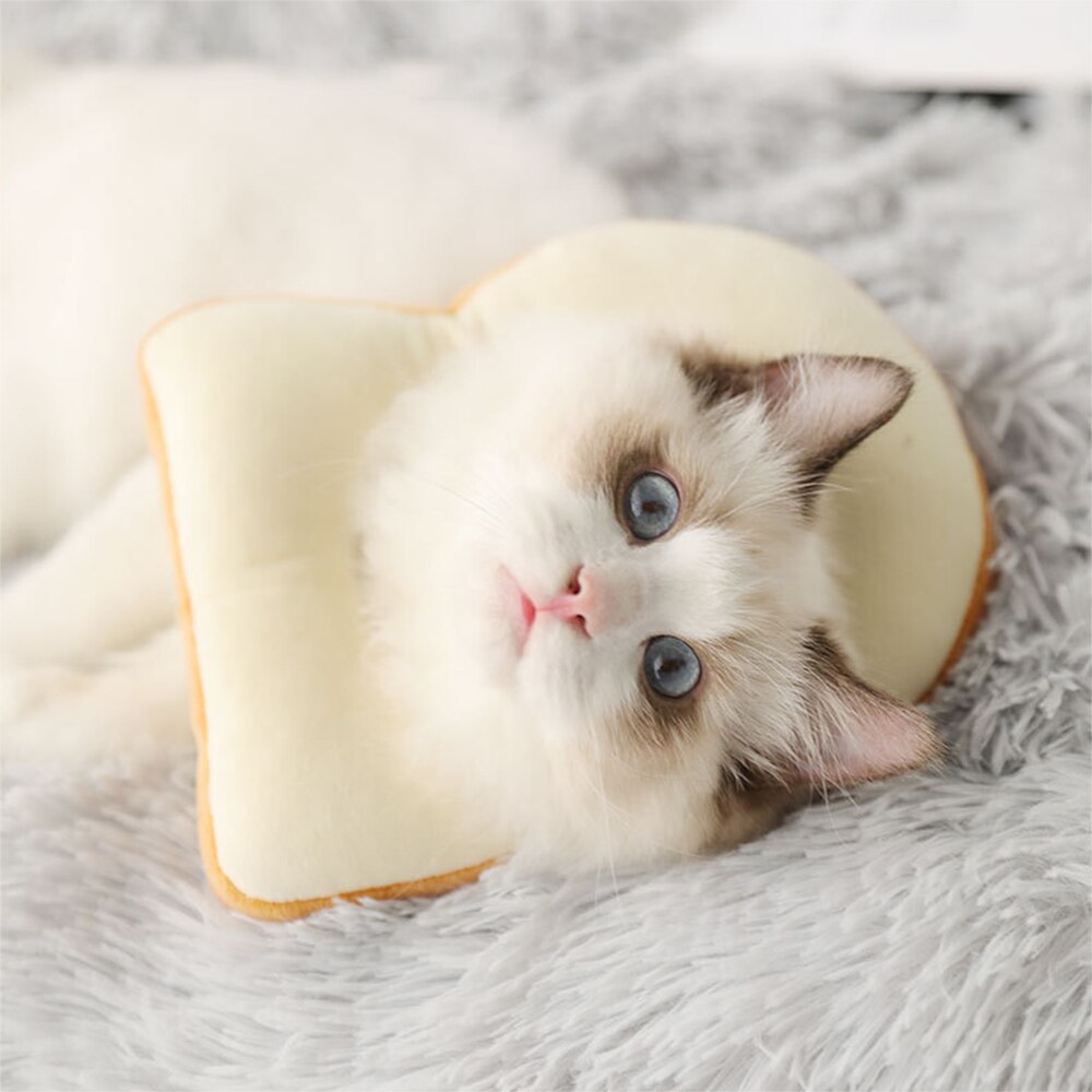 Adjustable Bread Shape Pet Protective Collar Dog N... – Grandado