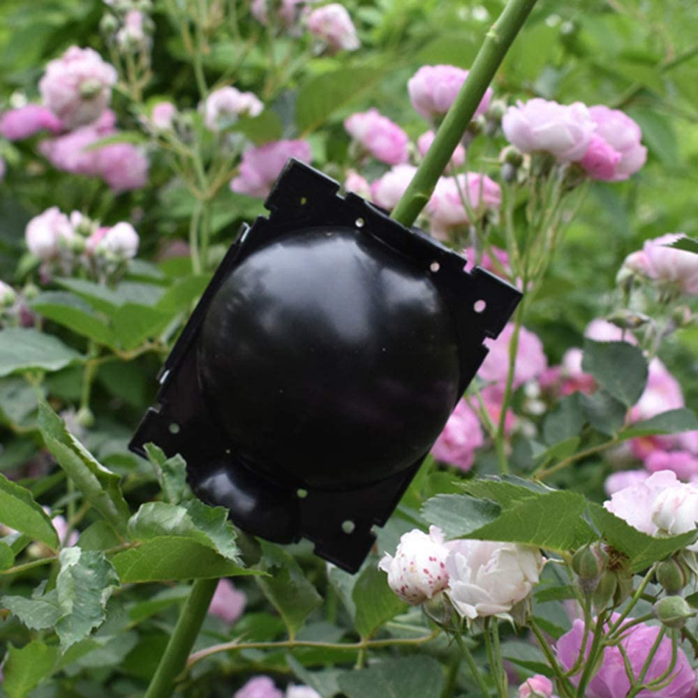 10pcs 5CM Plant Rooting Device Propagation Ball Re... – Grandado