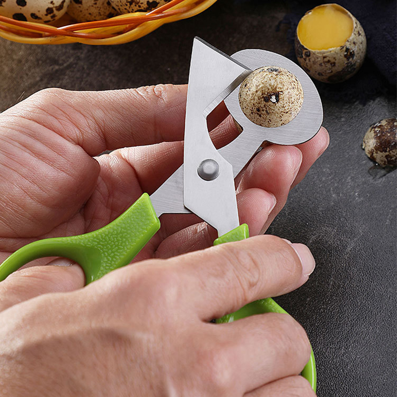 Practical Home Type Pigeon Quail Egg Scissor Bird ... – Grandado