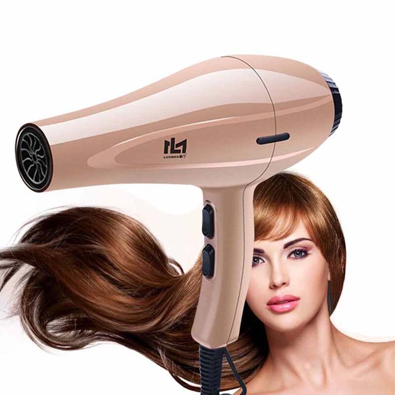 Hair Dryer Electric Blow Dryer Salon Blowdryer Ani... – Grandado