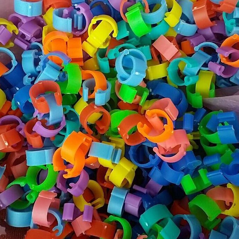 Universal bantam sett 100x luke kylling høne due k... – Vicedeal